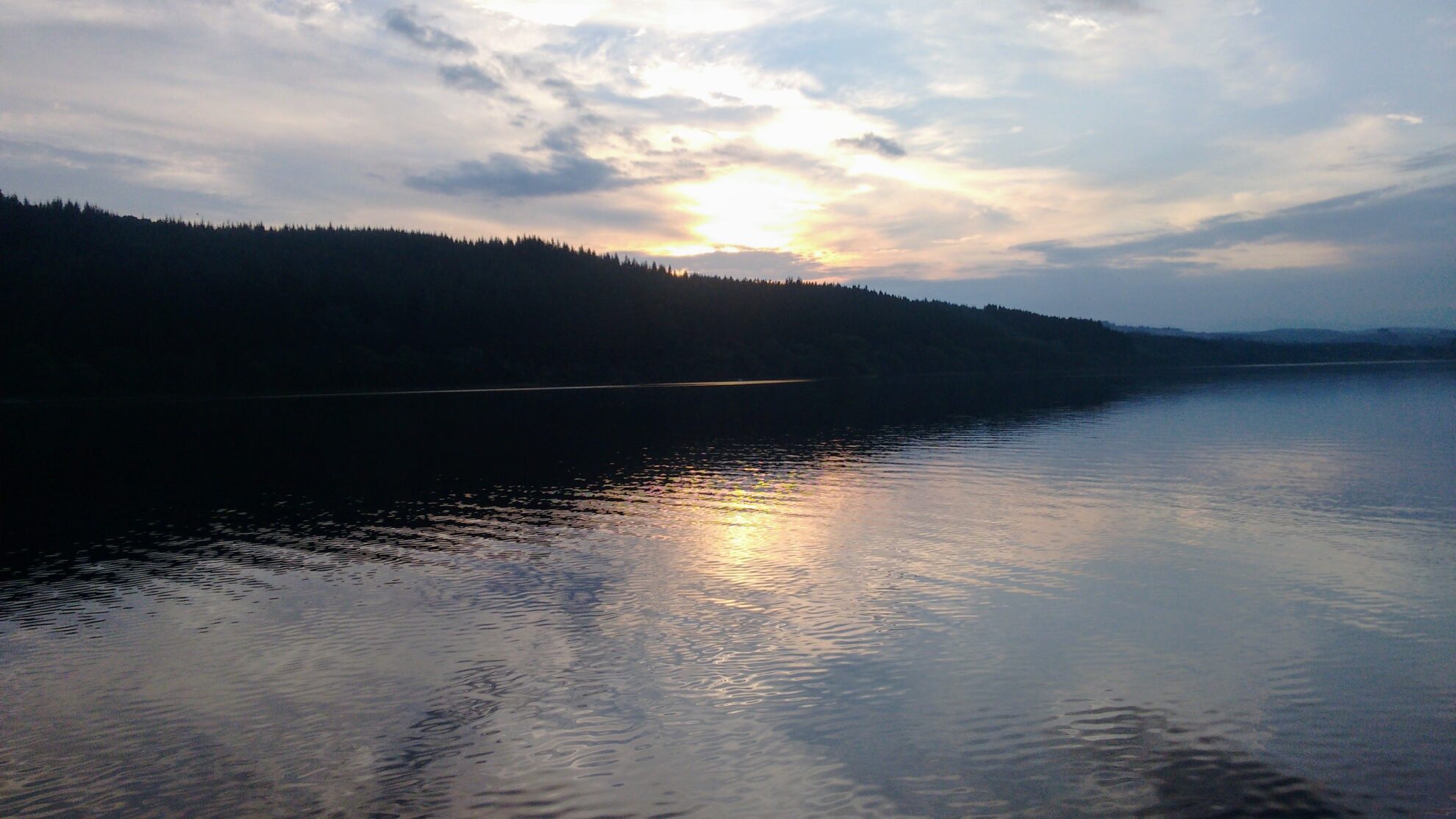 Learning to Swim in Deep Water — The Understory Conversation